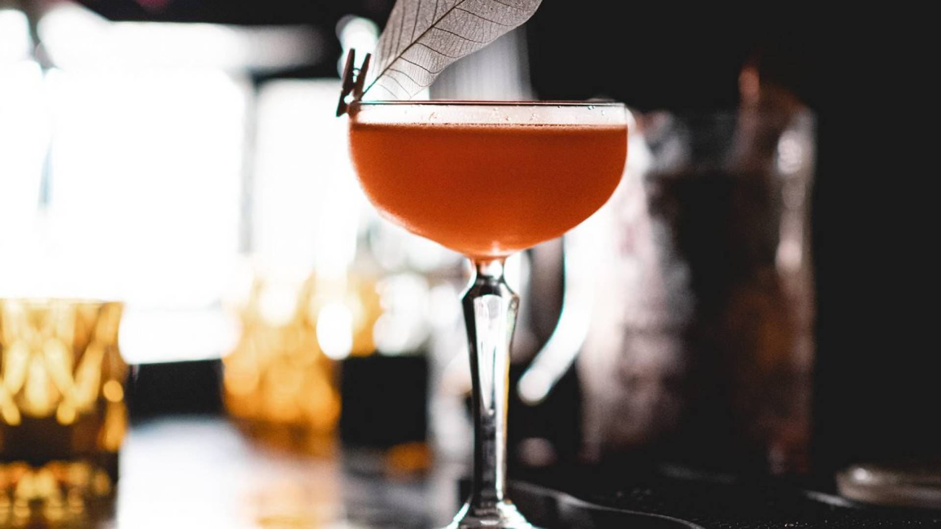 Gitano. A Taste of Tulum at Casa Faena | Faena