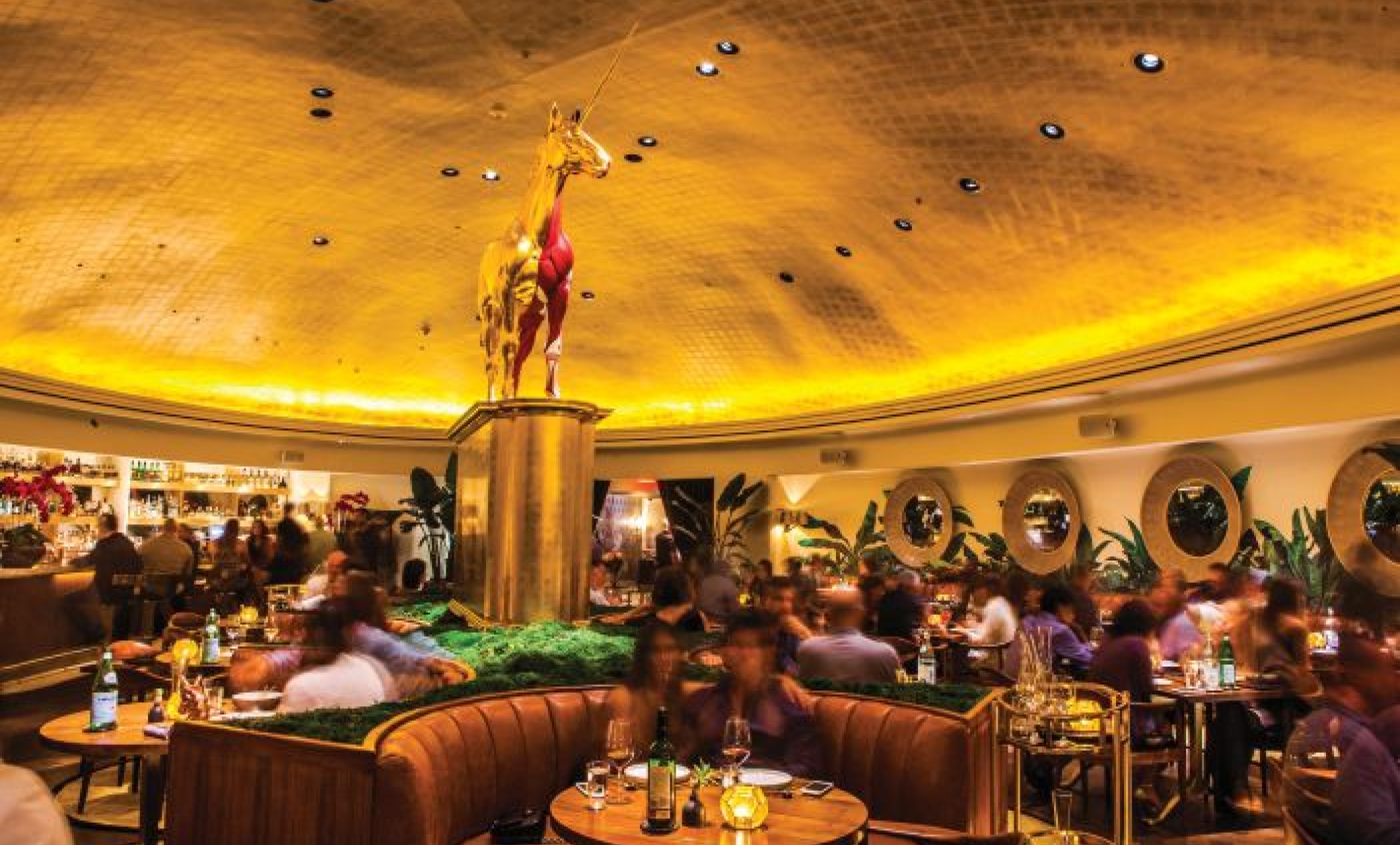 The Kitchen Coalition | Faena