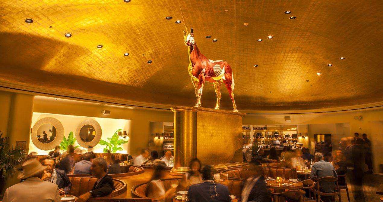 Plated Memories | Faena